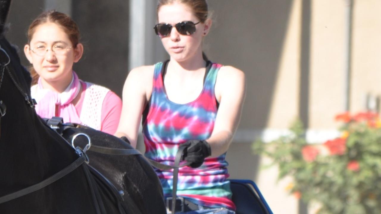 Teams, Clubs, and Organizations | UC Davis Department of Animal Science