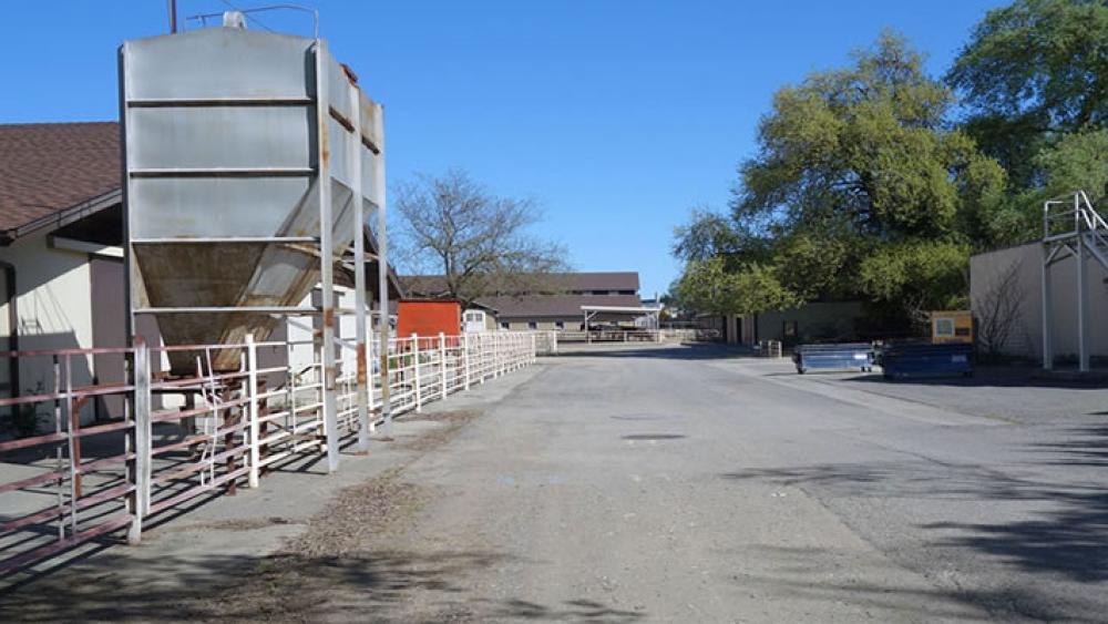 Cole Facility | UC Davis Department of Animal Science