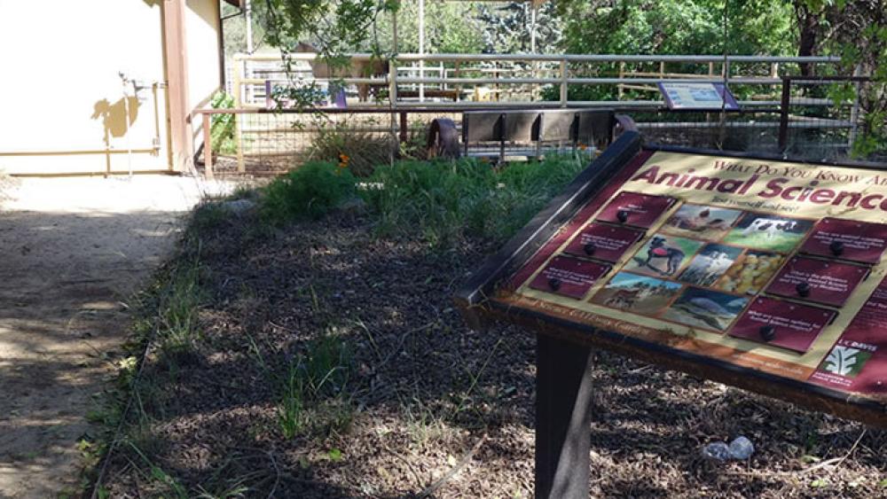 Cole Facility | UC Davis Department of Animal Science